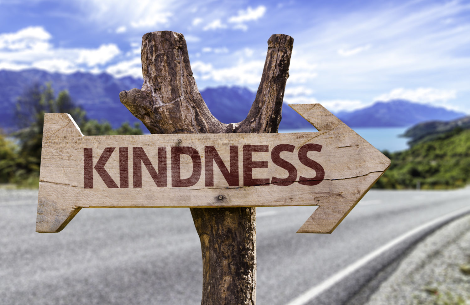 The Kindness Of Strangers… – Jennifer Jozwiak